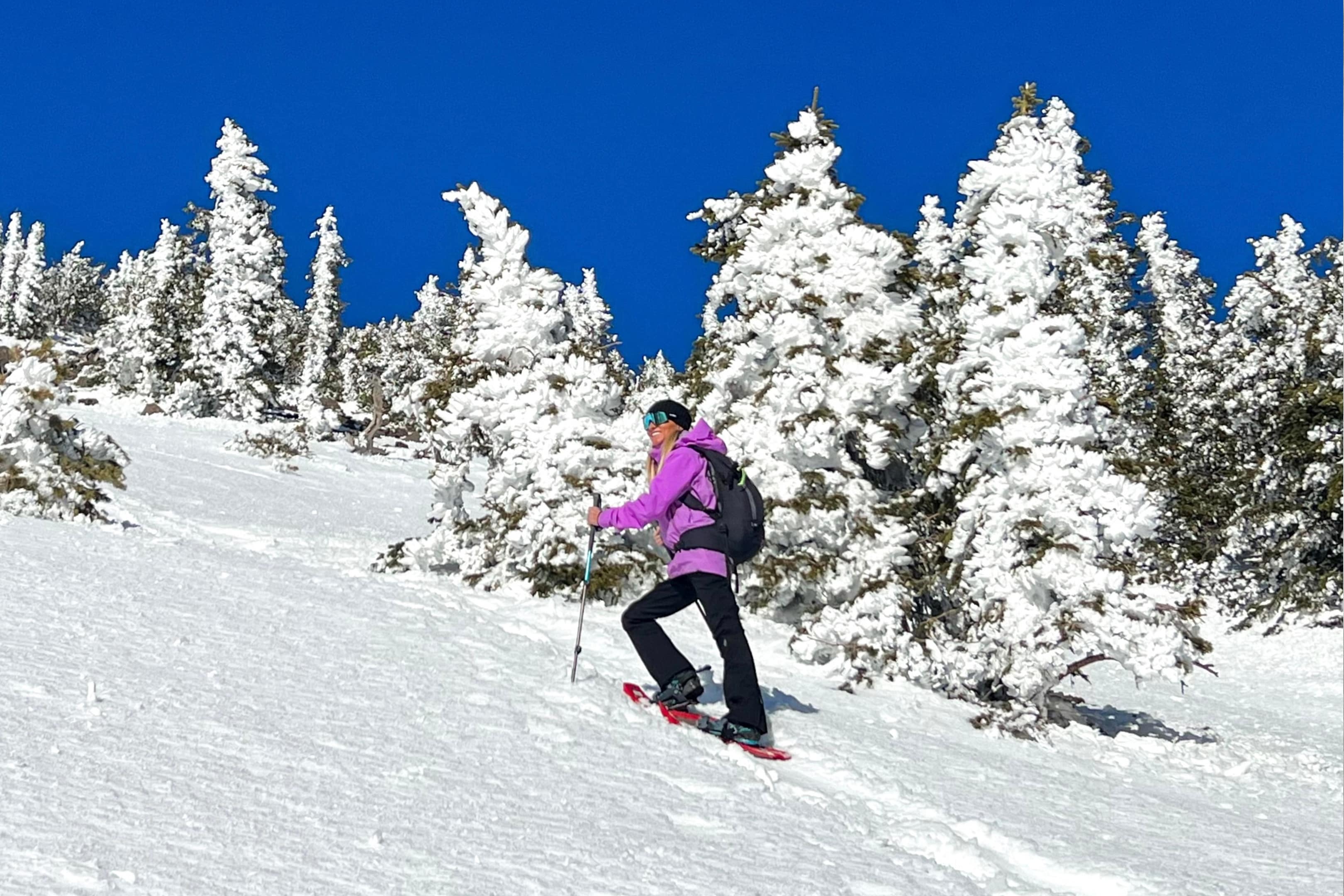 Why is this Resort Ideal for Snow Lovers? - Village Camp