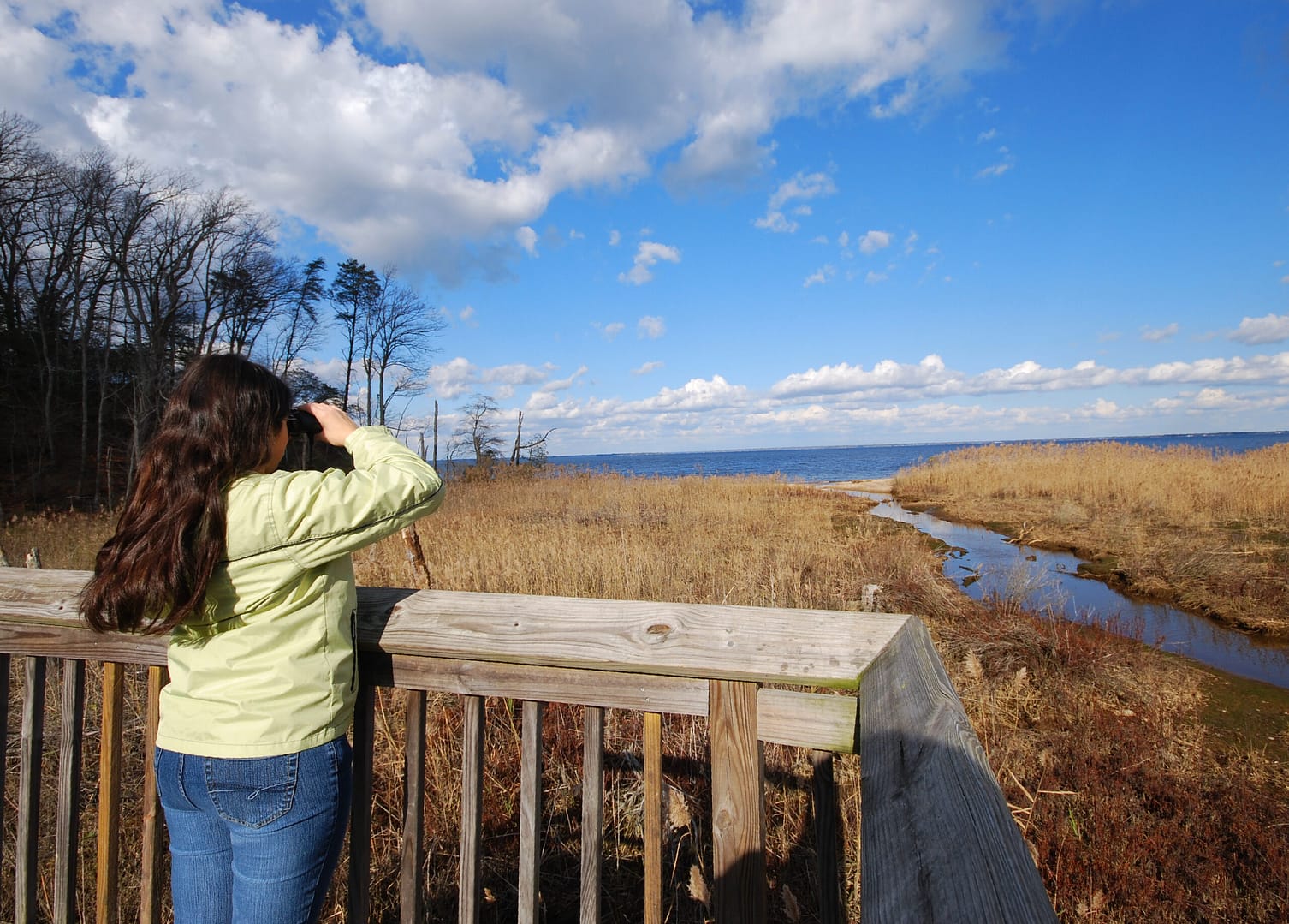 Virginia State Parks veranstalten im Februar eine große Vogelzählung im ...