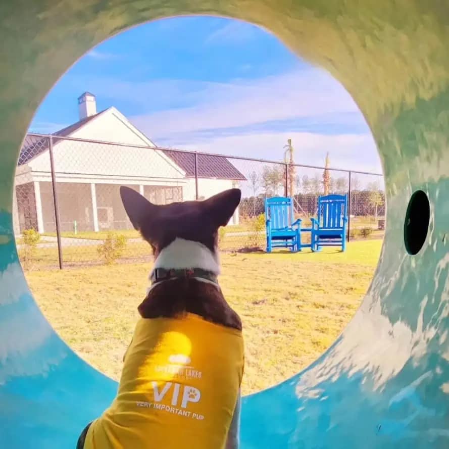 Photos - Savannah Lakes RV Resort